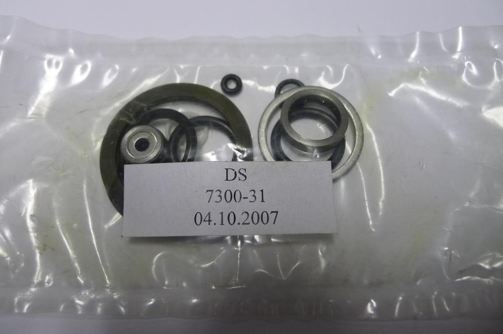 DS 7300-31 | Eurofluid